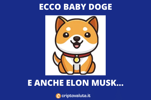 Cos'è Baby Doge, il nuovo meme che adora Elon Musk? - Criptovaluta.it®