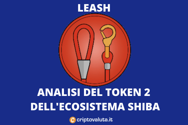 Cos'è Leash? Analisi del "guinzaglio" di Shiba Inu Coin - Criptovaluta.it®