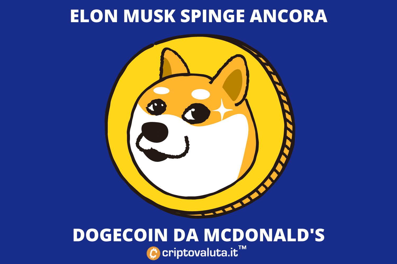 Elon Musk spinge Dogecoin su Twitter | "Se lo accettasse McDonald's..."