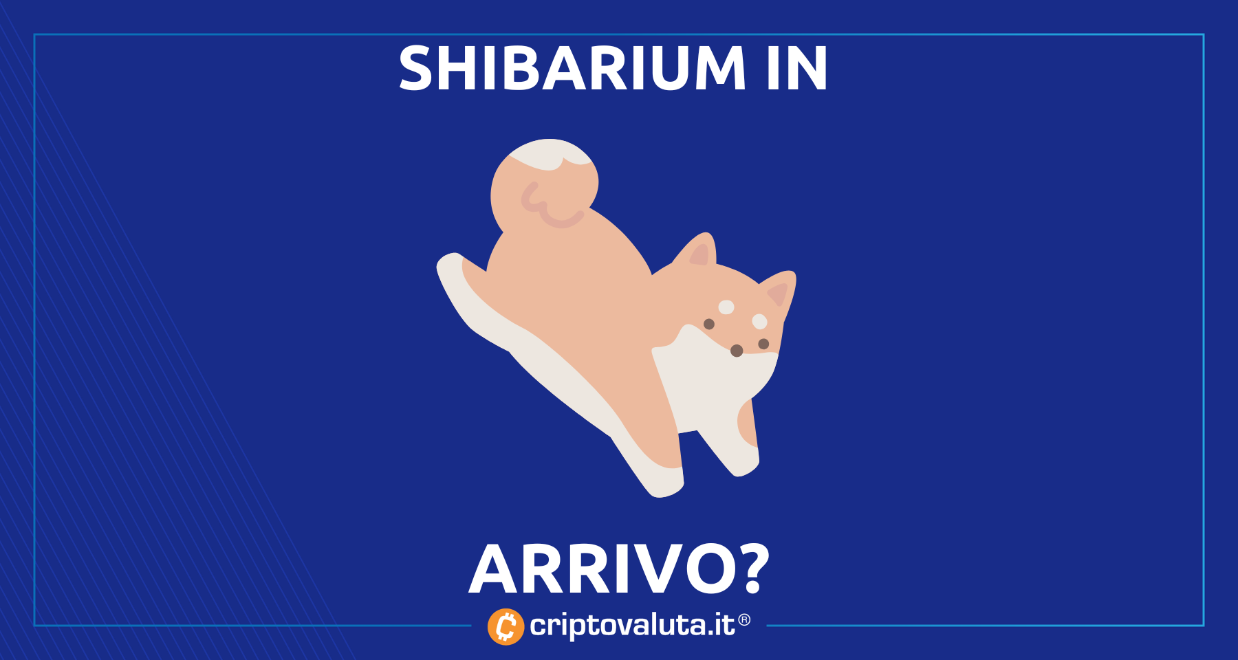 Shiba Inu avrà il suo layer 2 | Novità per Shibarium - Criptovaluta.it®
