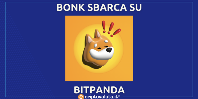 BONK: si può comprare su Bitpanda! | Disponibile anche lo SWAP