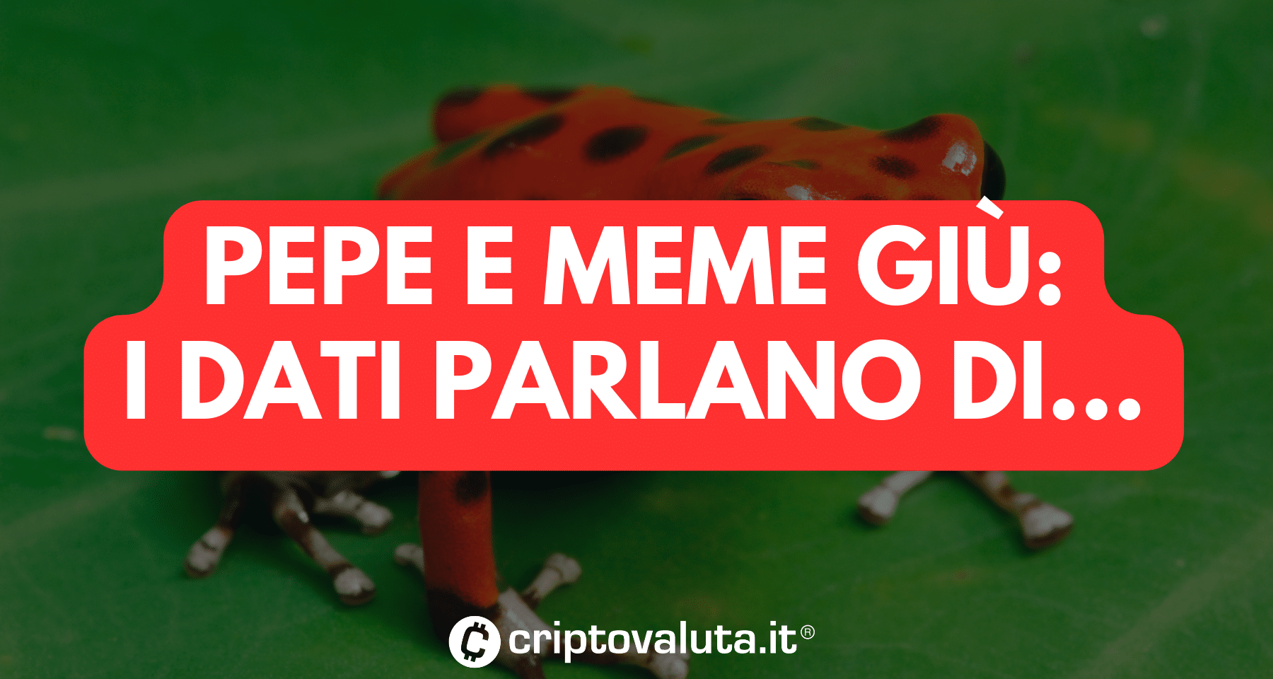 Pepe e crypto meme in discesa libera | I dati ci dicono però che...