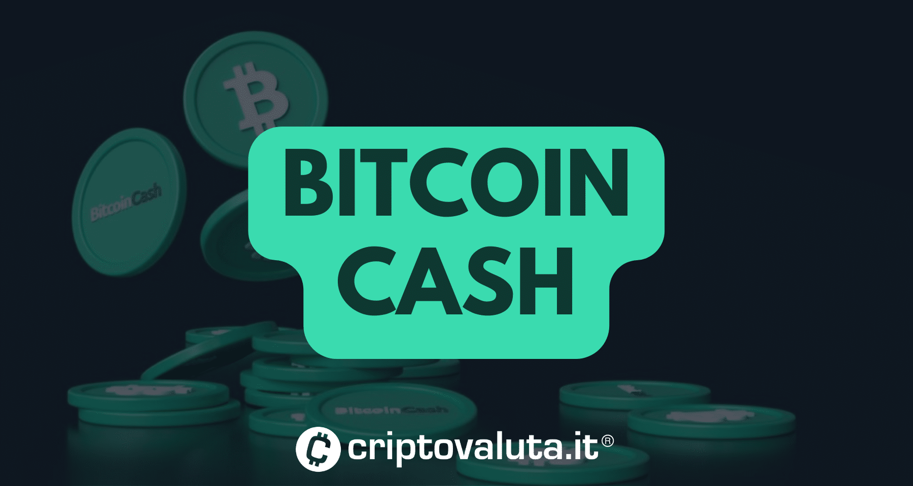 Bitcoin Cash: Cos'è e come funziona | Guida Base $BCH