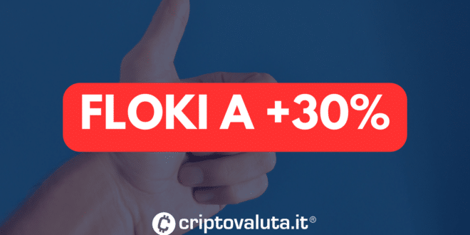 La crypto che fa +30% in 24 ore | Novità da FLOKI che... - Criptovaluta.it®