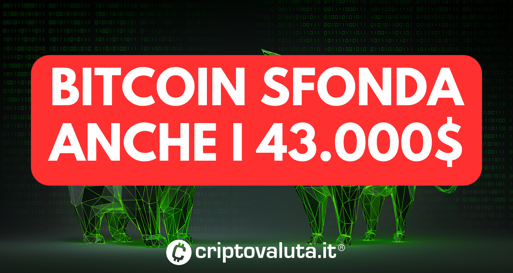 Bitcoin sfonda anche i 43.000$ | Ma il fattore X è questo ...