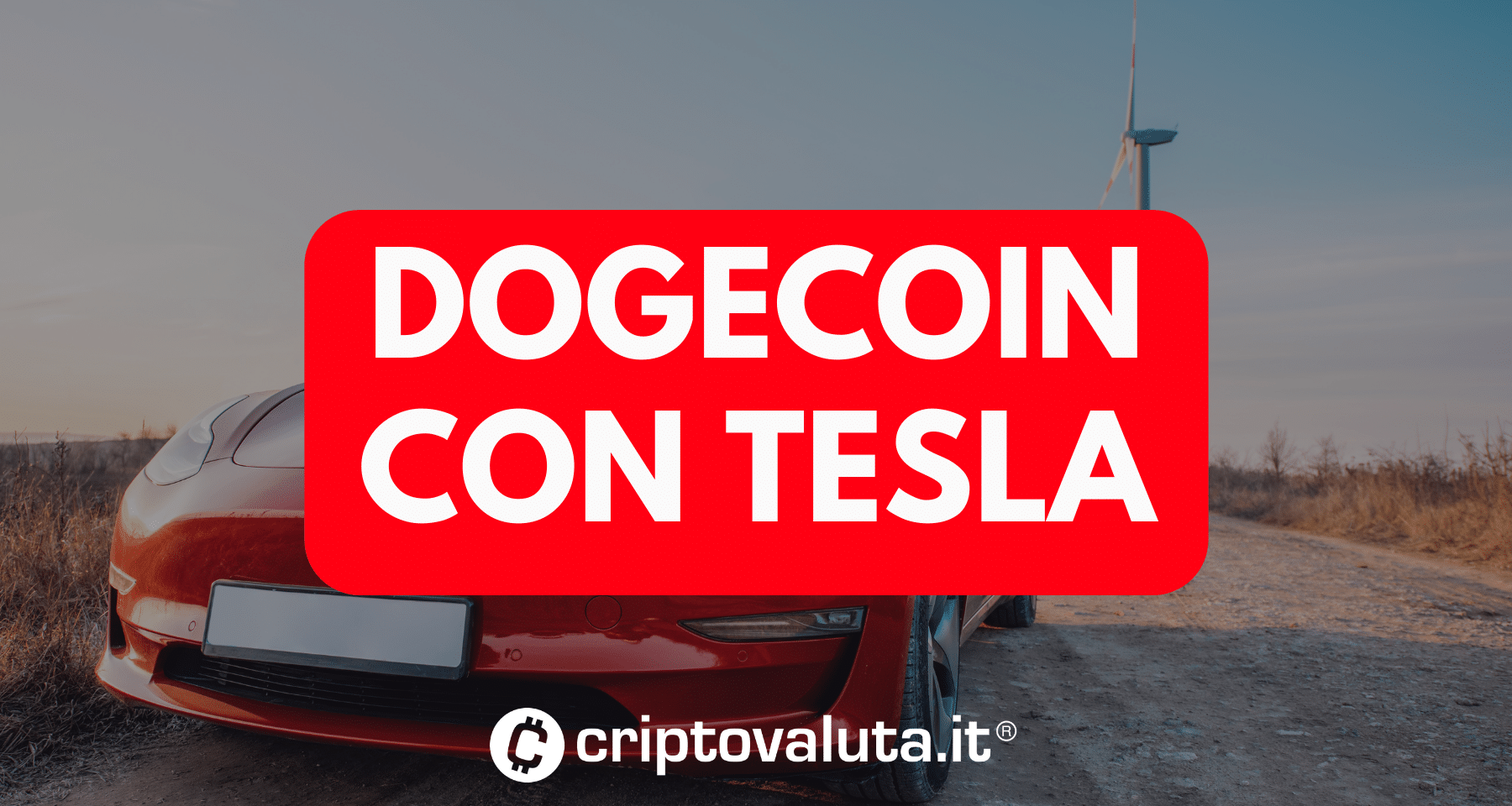 Dogecoin: Elon Musk apre a pagamenti per Tesla | Crypto $DOGE a +7% ...