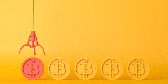 Ecco chi è il personaggio del 2024 per Bitcoin e crypto: tra ETF, MiCA, exchange e SEC, vince ...