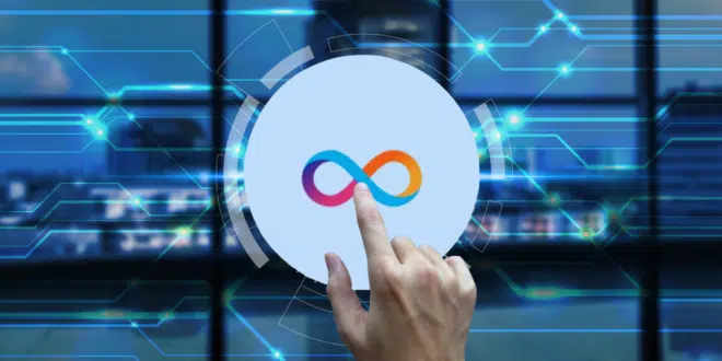 Internet Computer torna a correre: WordPress on-chain dietro il rally ...