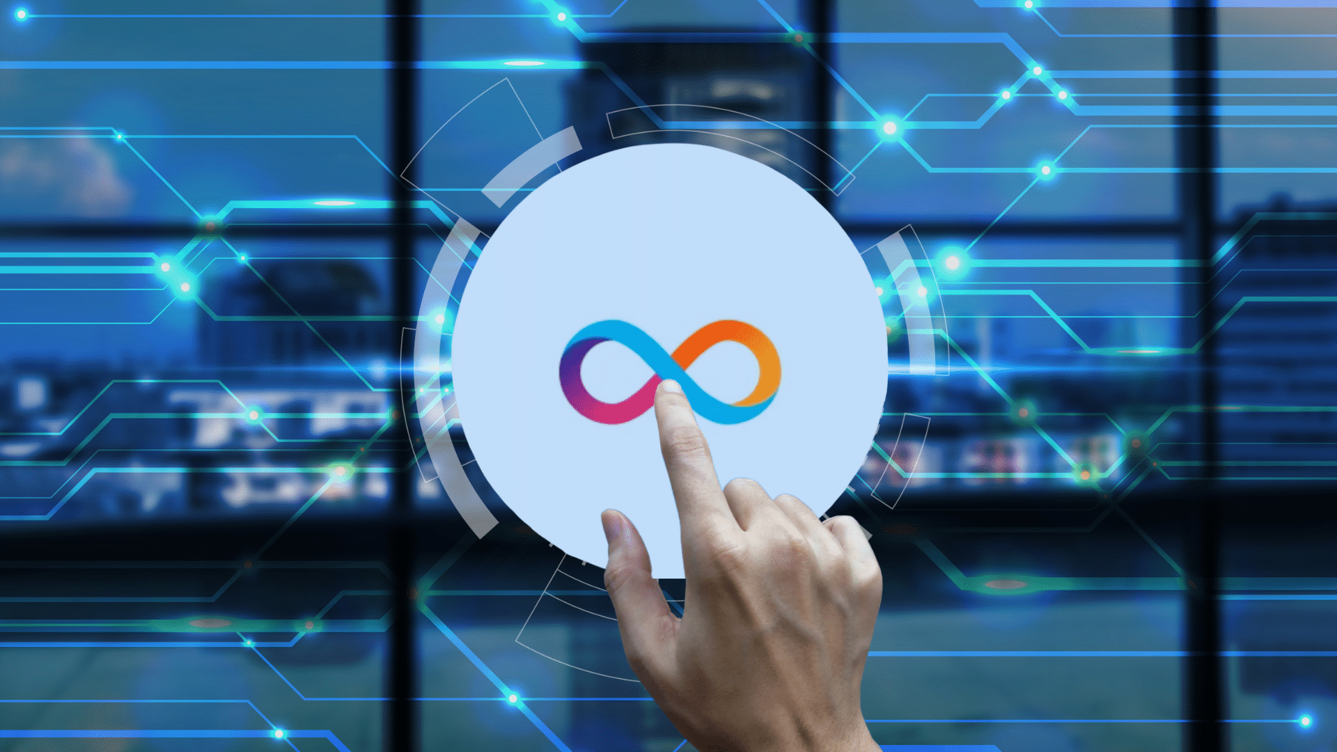 Internet Computer torna a correre: WordPress on-chain dietro il rally ...